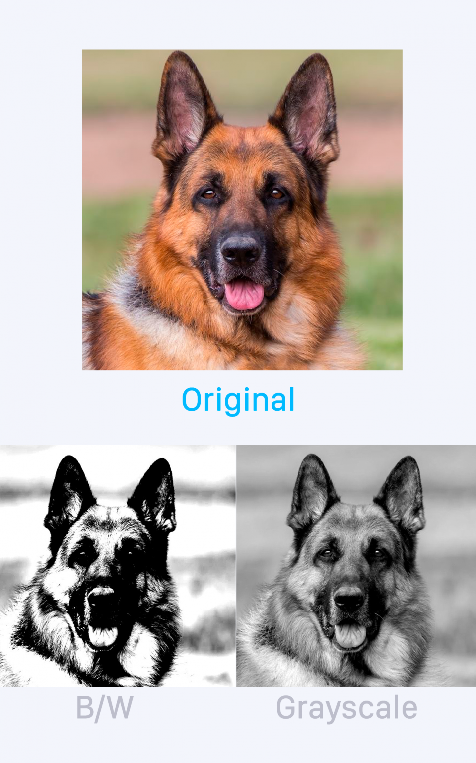 How to Make Your Scanned Docs Look Perfect - iScanner