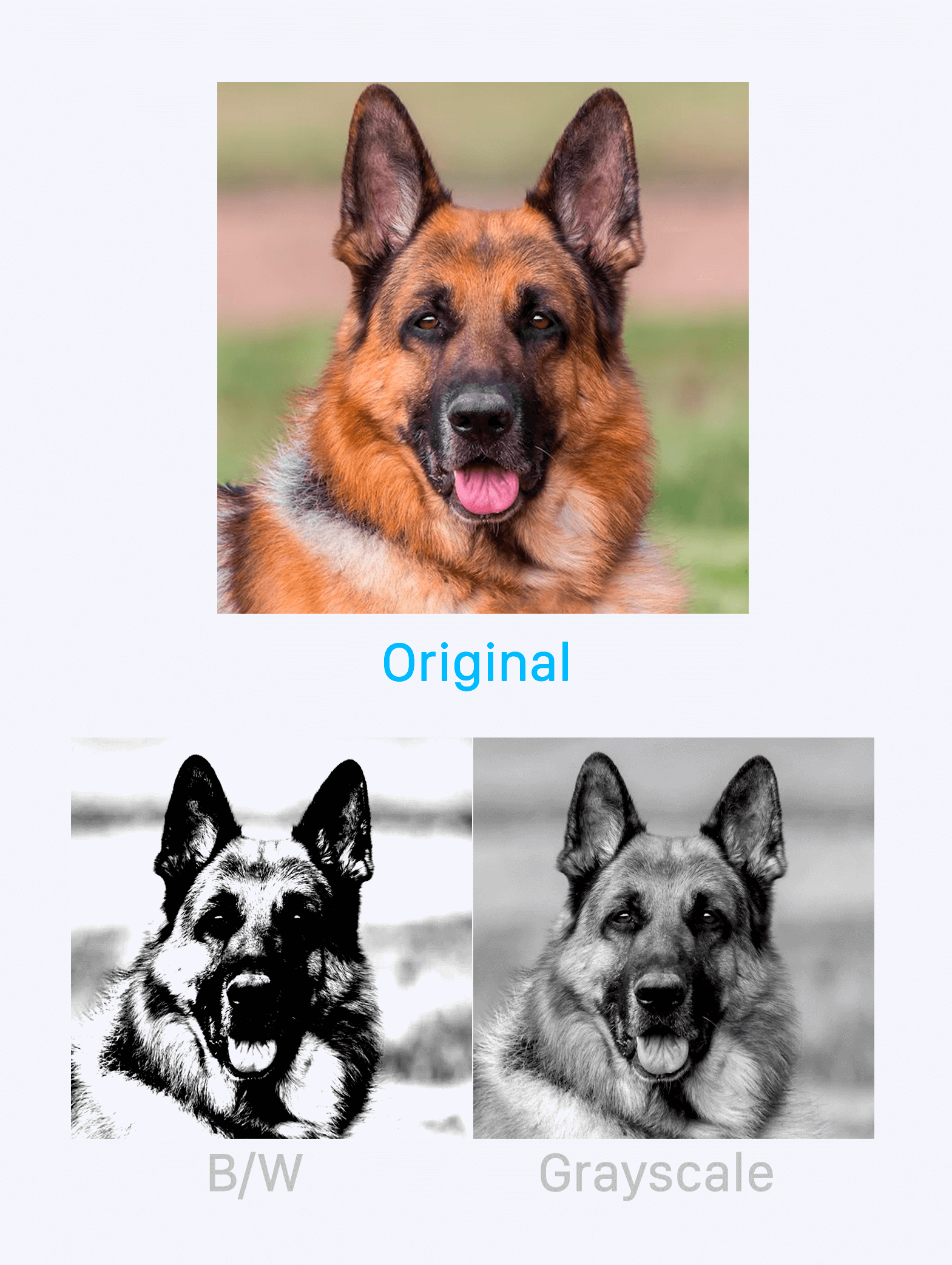 Make Your Scanned Docs Look Perfect Every Time: Simple Tips and Tricks ...