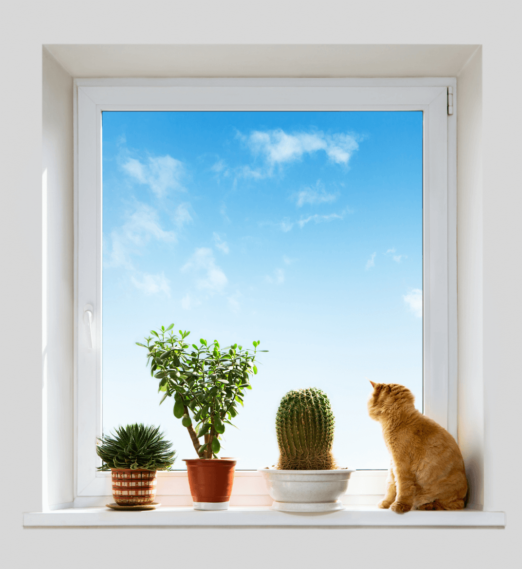 How to Measure a Window for Replacements and Blinds Without Mistakes - iScanner